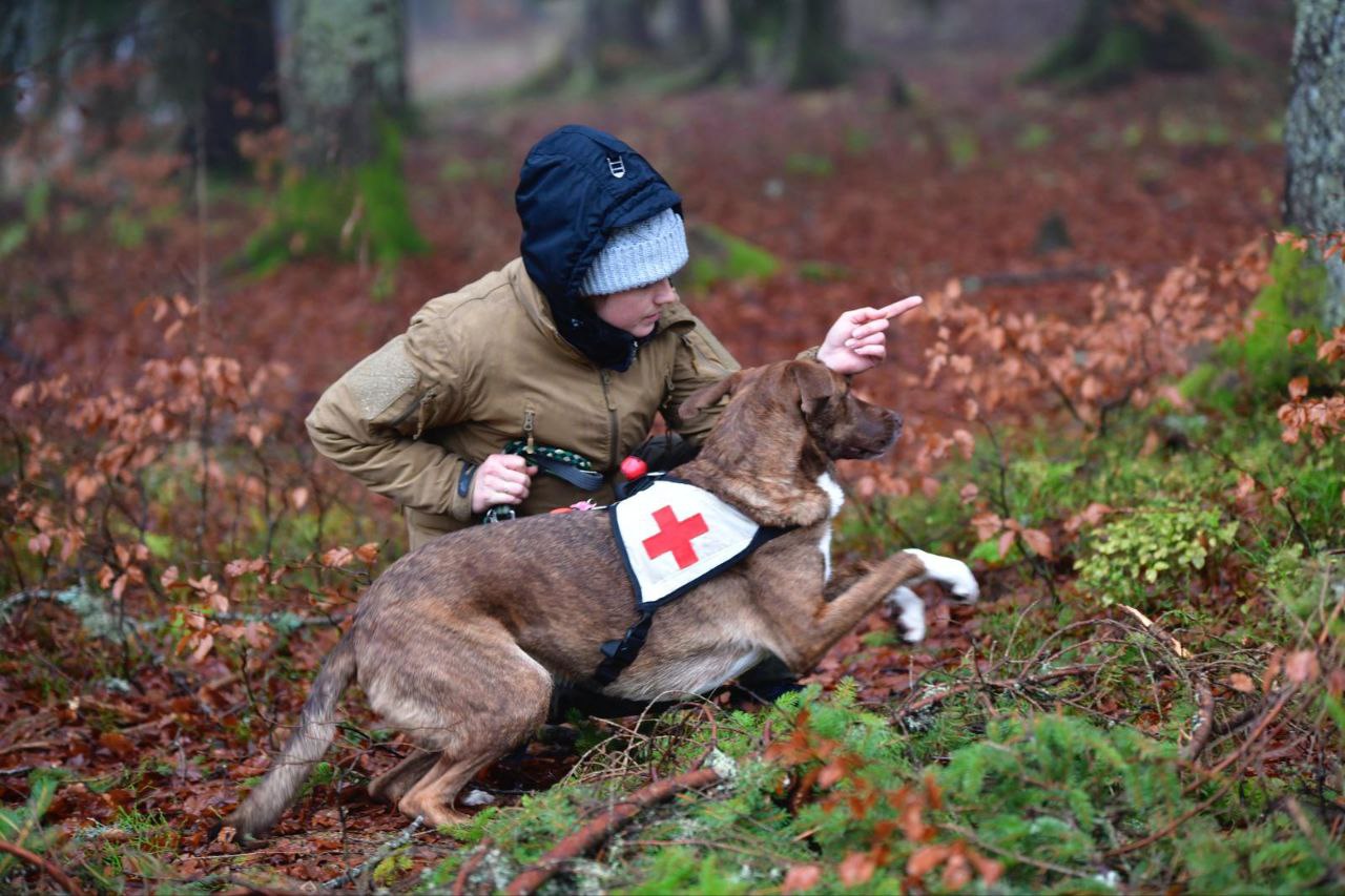 I-A-G – International Aid Group e.V.